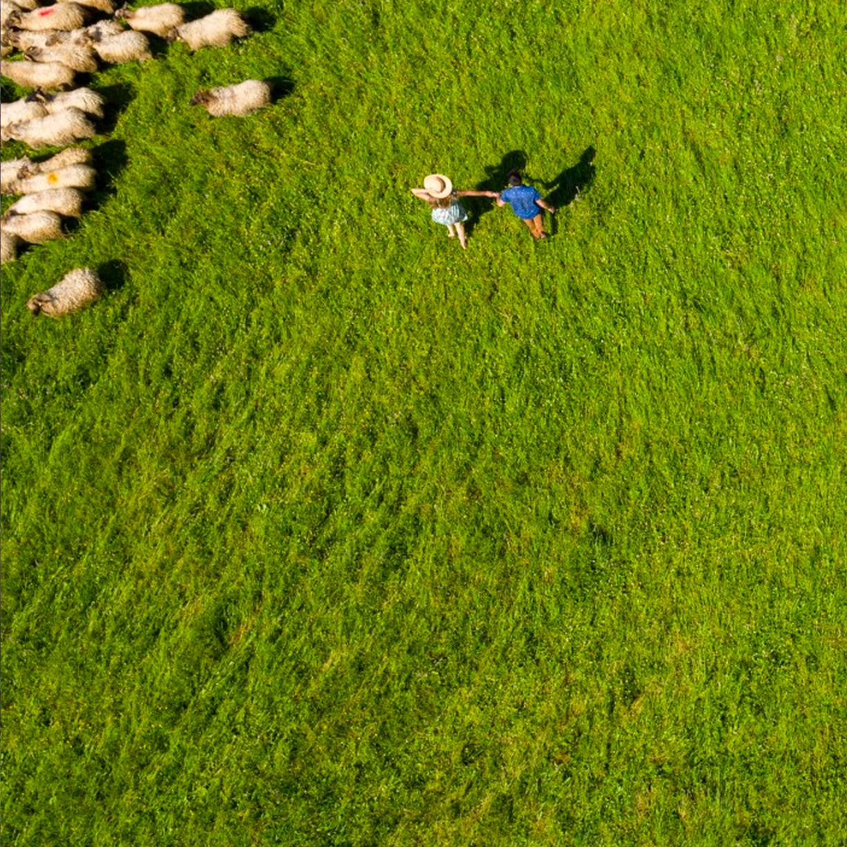 NATURE – Visit Lautada